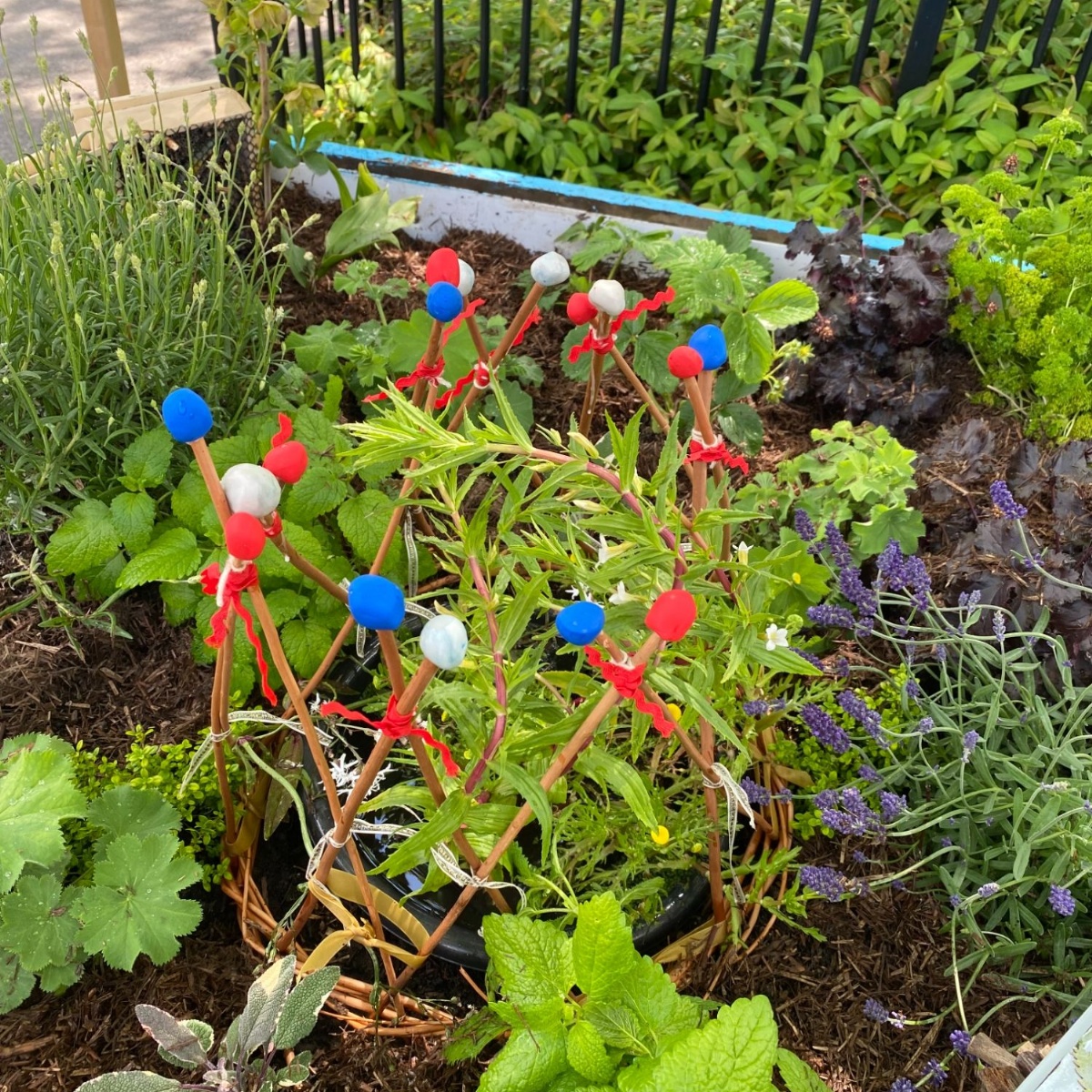 Broke Hall Primary School - A Garden fit for our King